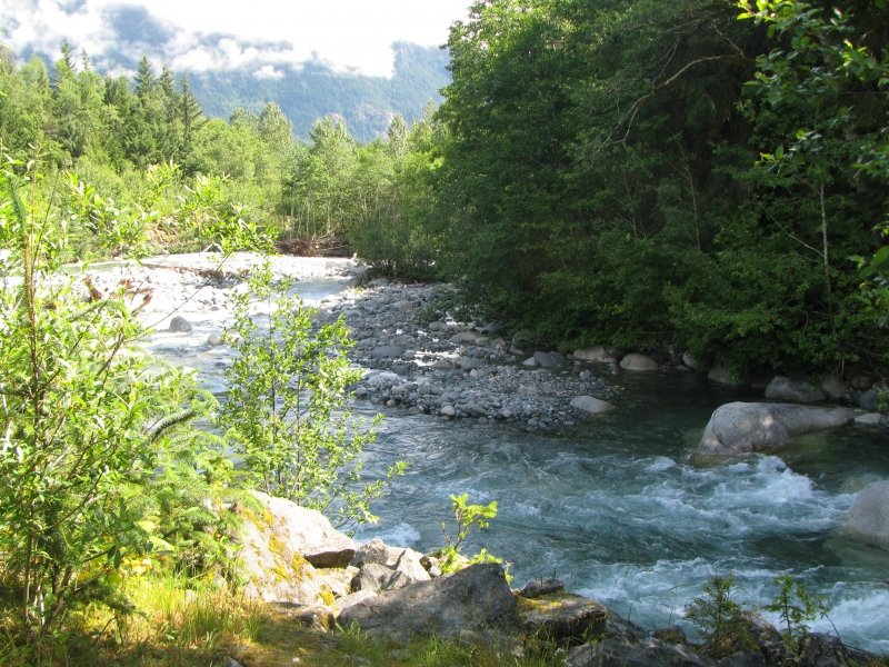 bellacoola_river – ElectronX Lab